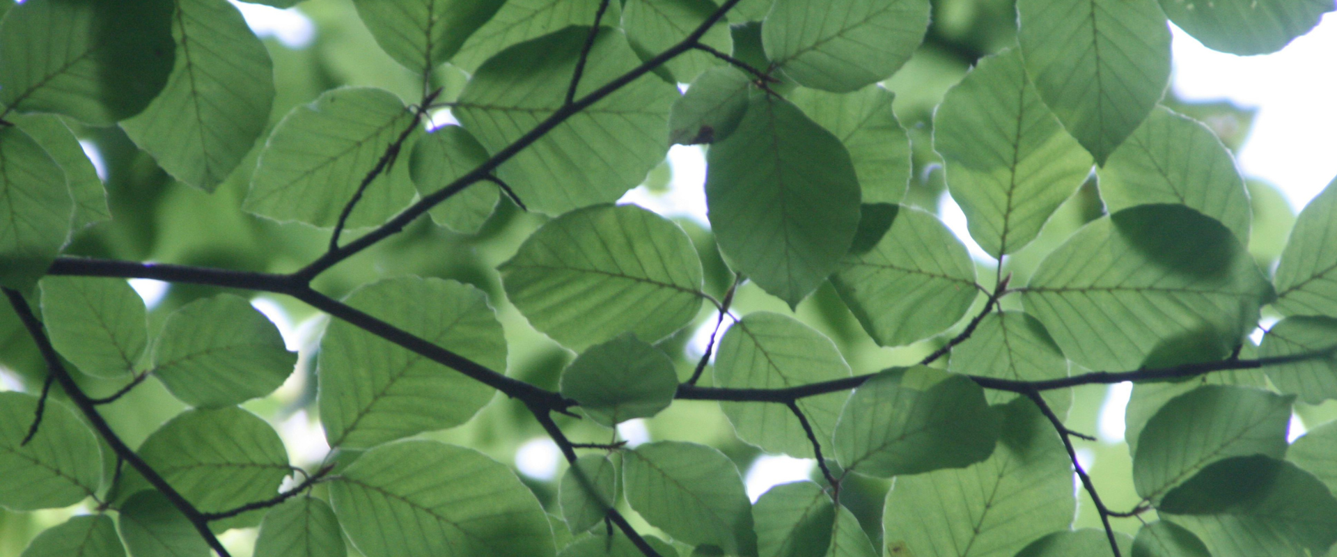 Nordlys: the life cycle of our products